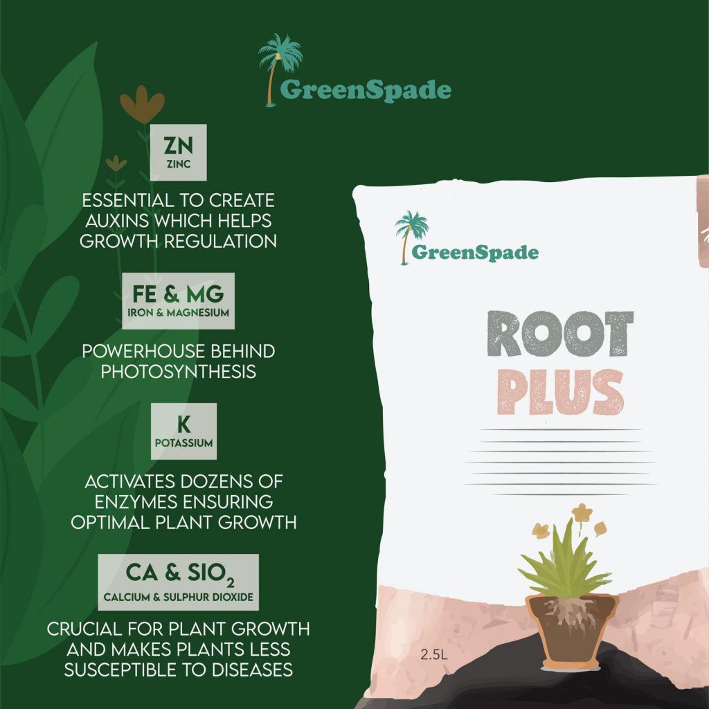 Root Plus - Greenspade