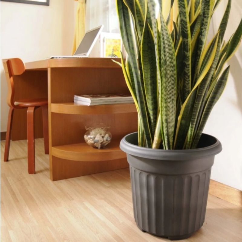 Greenspade – Online Gardening Supplies & Services Singapore