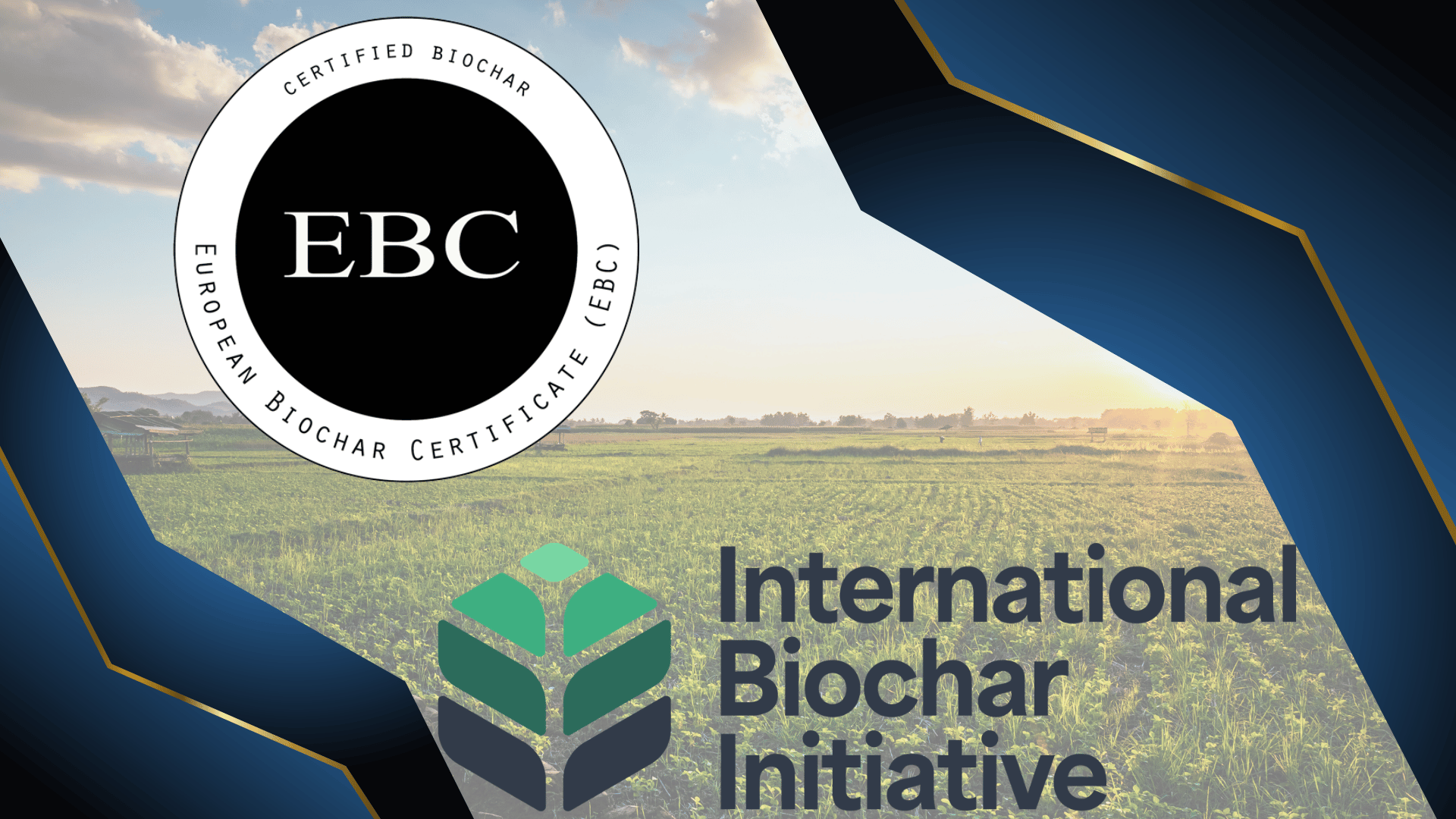 Unlocking the Benefits of Biochar in Gardening - Greenspade