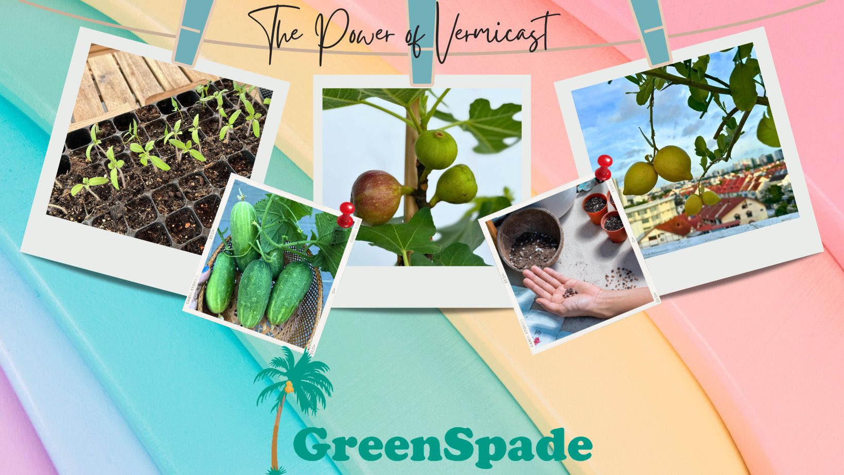 Vermicast Fertiliser: Giving Your Garden A Boost Naturally - Greenspade