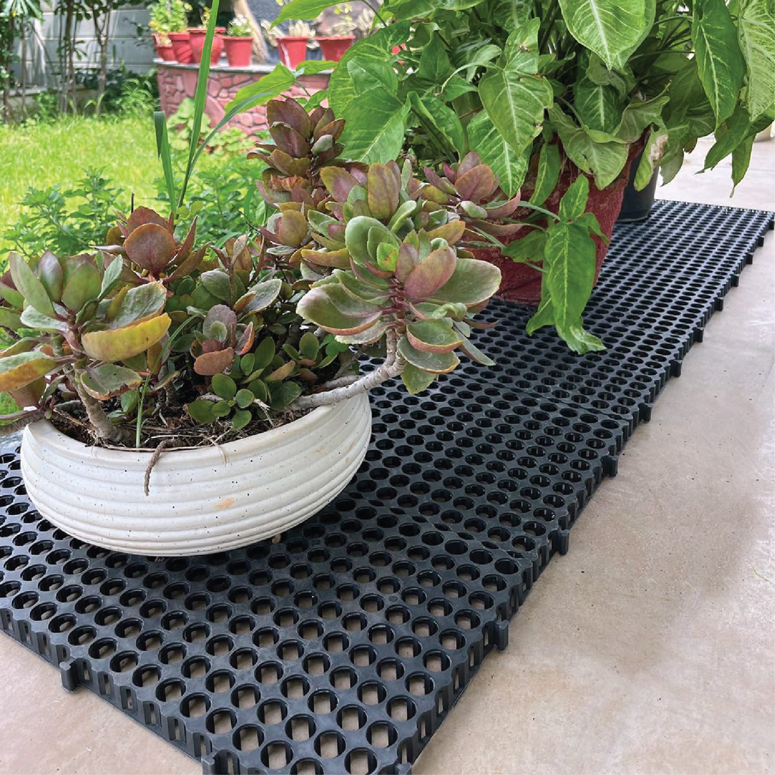 Drainage Cell (100cm x 50cm x 3cm) - Greenspade