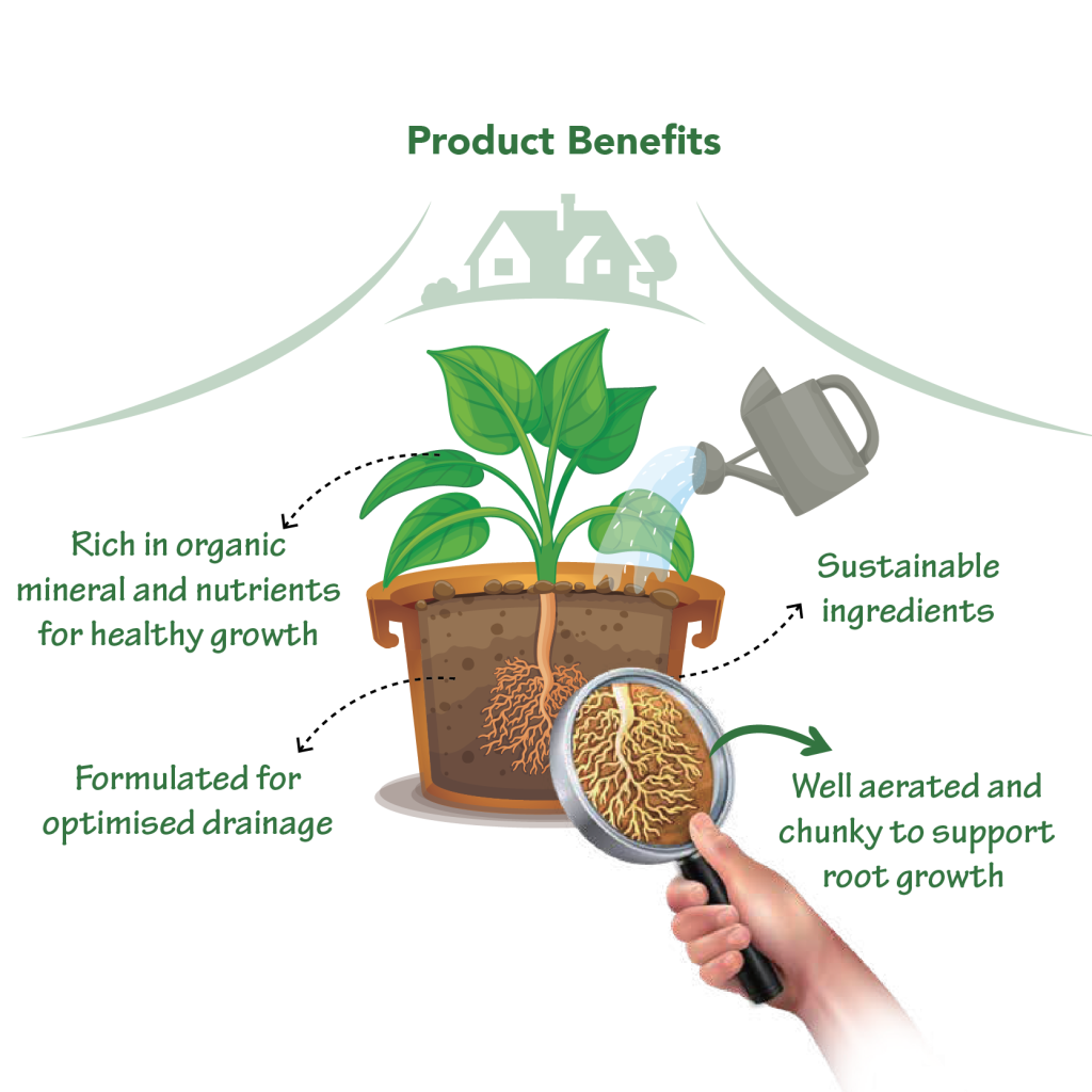 Premium Aroid Mix 5L (New Arrival !) - Greenspade