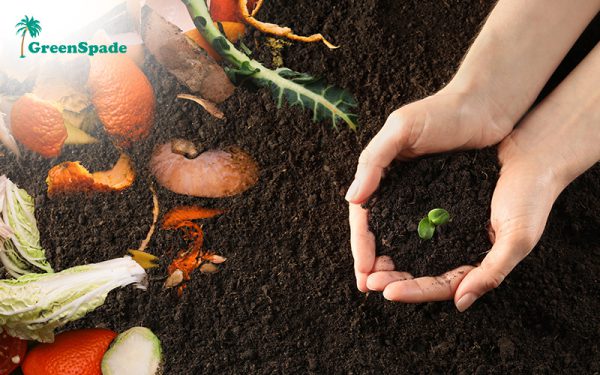 The Best Composting Methods for Singapore’s Small Spaces