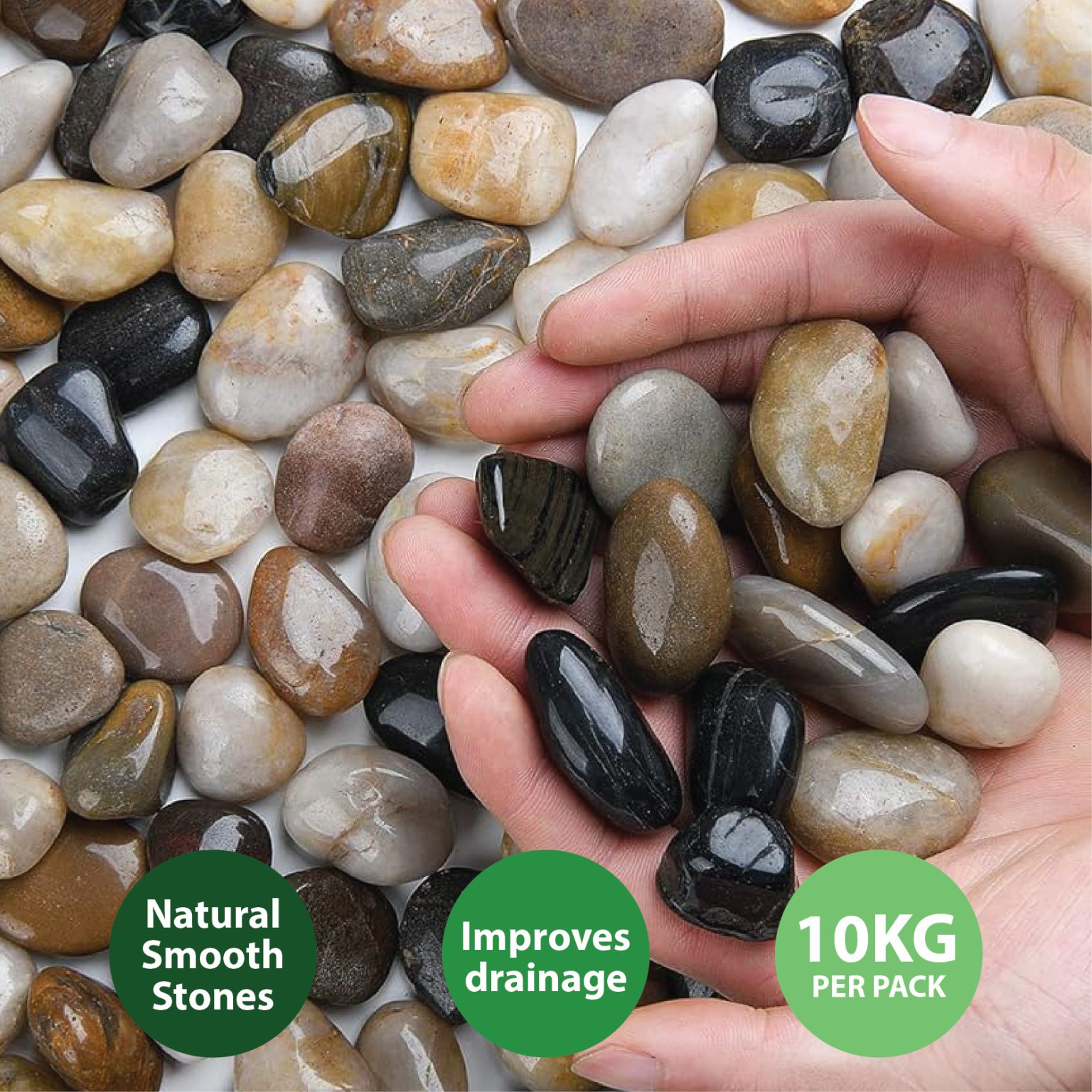 Pebbles & Stones for Gardening (Bright and Colorful) - 20~30mm - Greenspade