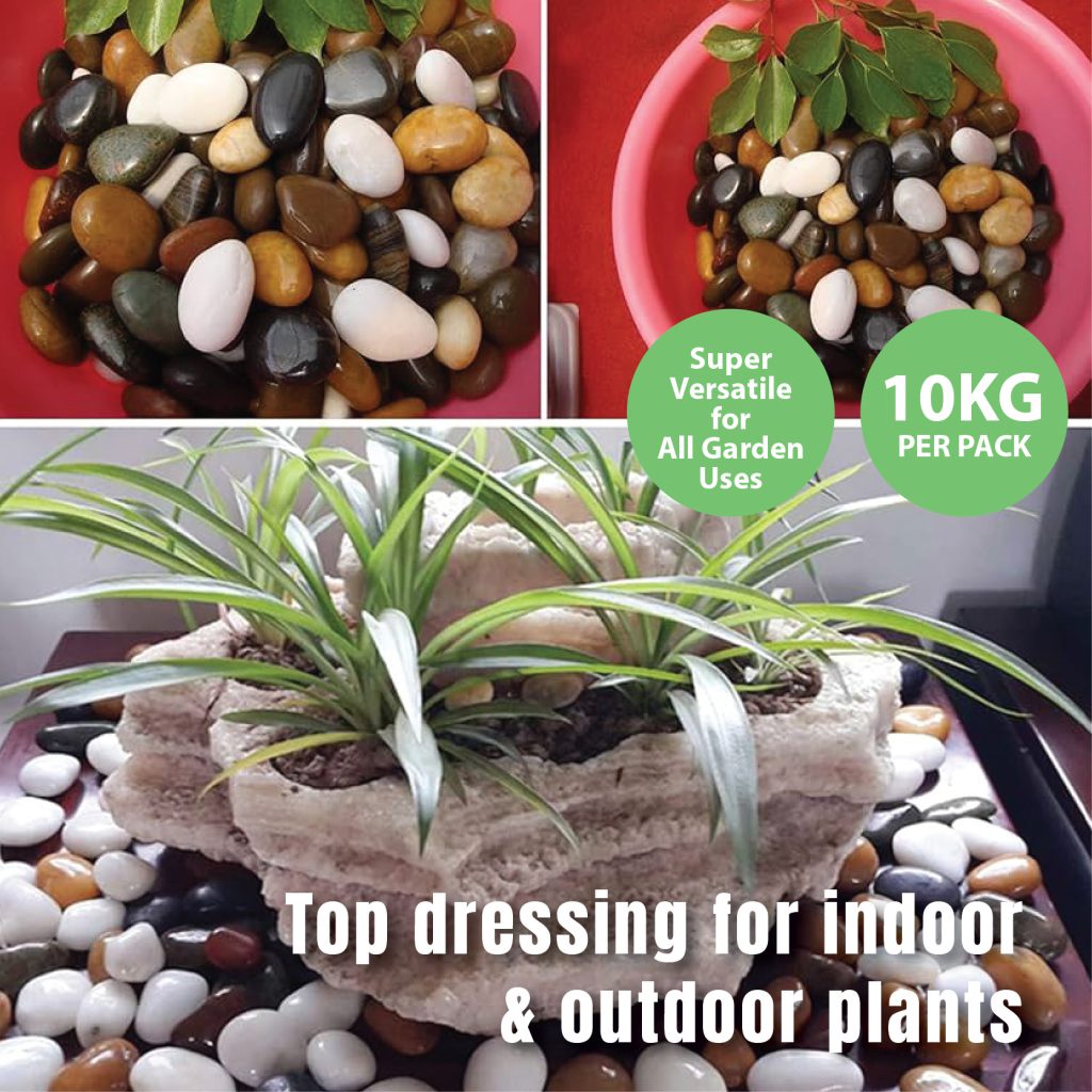 Pebbles & Stones for Gardening (Bright and Colorful) - 20~30mm - Greenspade